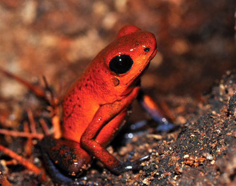 Nature | U.S. Department of the Interior