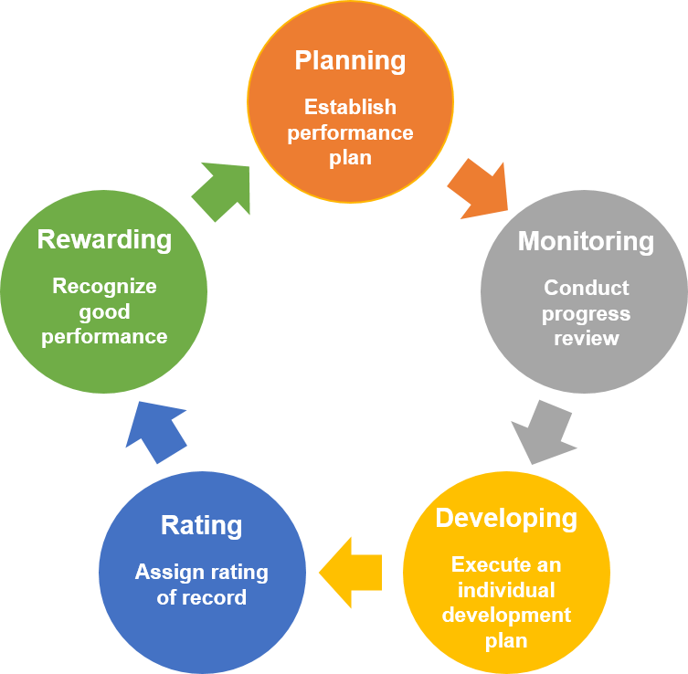 Employee Performance Management Process