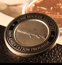 Delta restoration project to improve Utah Lake water quality | U.S ...