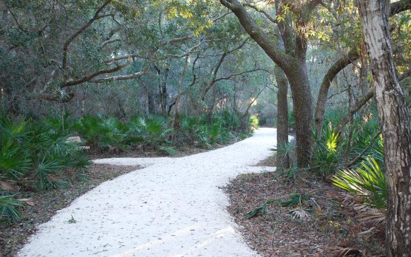 Bon Secour Jeff Friend Trail NRDA Project | U.S. Department of the Interior