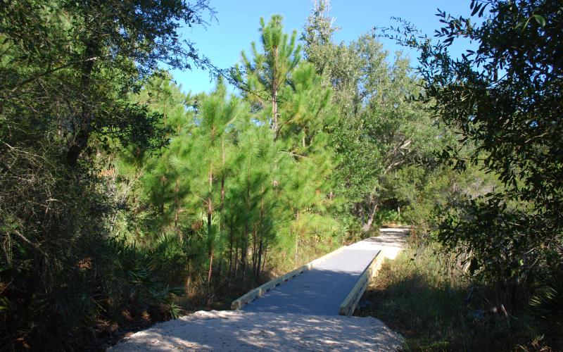 Bon Secour Jeff Friend Trail NRDA Project | U.S. Department of the Interior