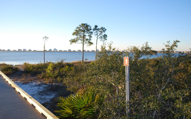 Bon Secour Jeff Friend Trail NRDA Project | U.S. Department of the Interior