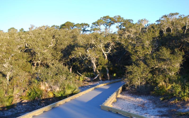 Bon Secour Jeff Friend Trail NRDA Project | U.S. Department of the Interior