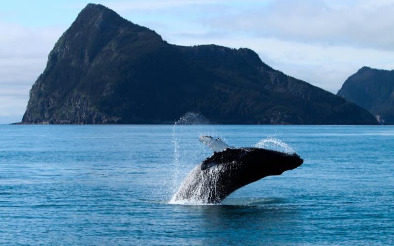 6 Stunning Photos That’ll Make You Want to Visit Alaska | U.S ...