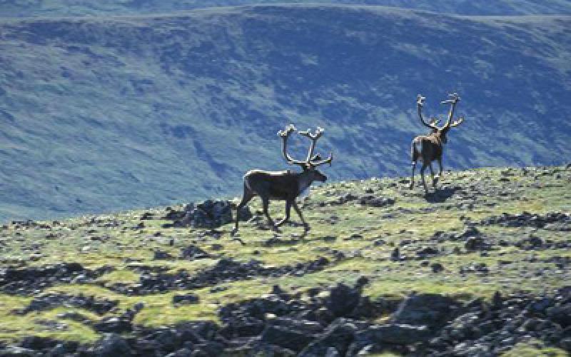 National Landscape Conservation System | U.S. Department of the Interior