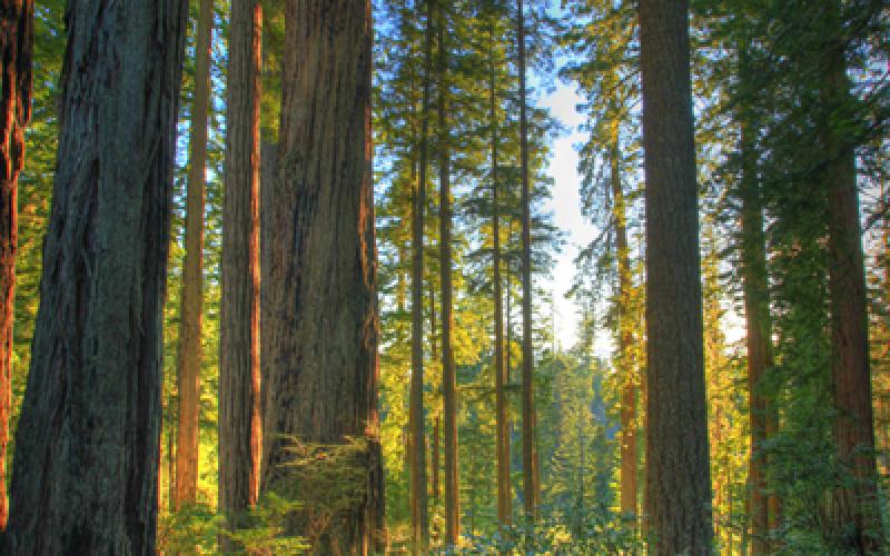 National Landscape Conservation System | U.S. Department of the Interior