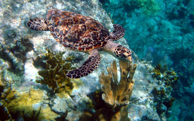 Summer 2017 OGLC Photo Gallery | U.S. Department of the Interior
