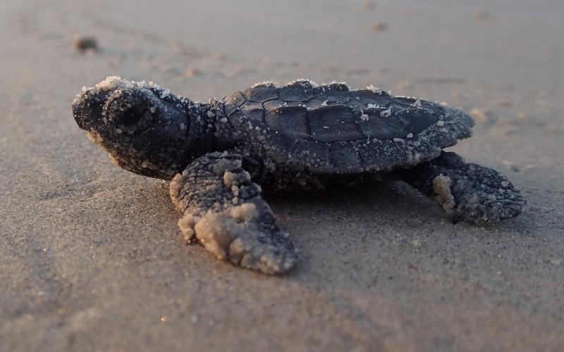 Summer 2017 OGLC Photo Gallery | U.S. Department of the Interior