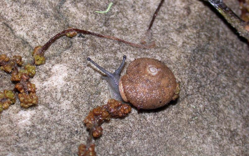 8 years of amazing #WildlifeWin stories | U.S. Department of the Interior