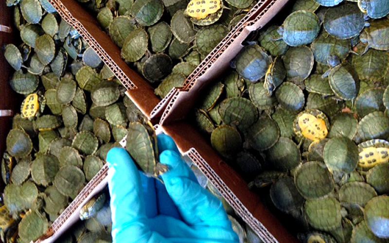 Summer 2017 OGLC Photo Gallery | U.S. Department of the Interior