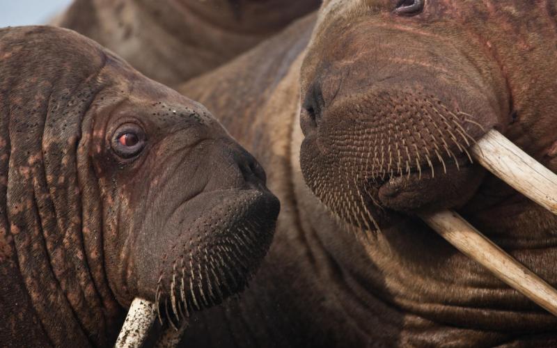 Summer 2017 OGLC Photo Gallery | U.S. Department of the Interior