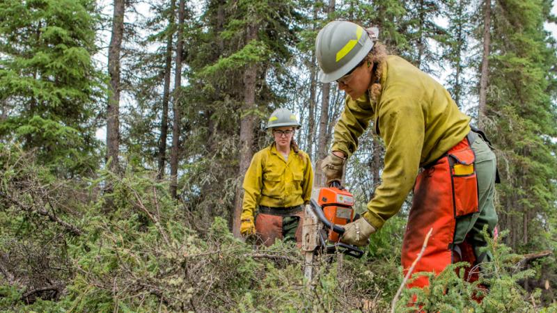 Working in Wildland Fire | U.S. Department of the Interior