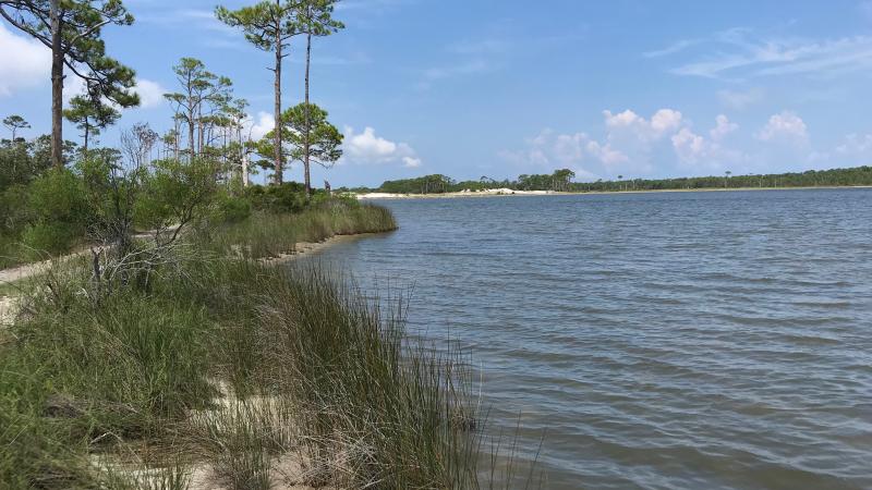 Deepwater Horizon settlement funds new living shoreline at Fish and ...