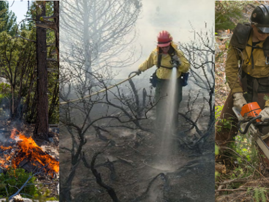 Wildland Fire Management—Past, Present, and Future | U.S. Department of ...