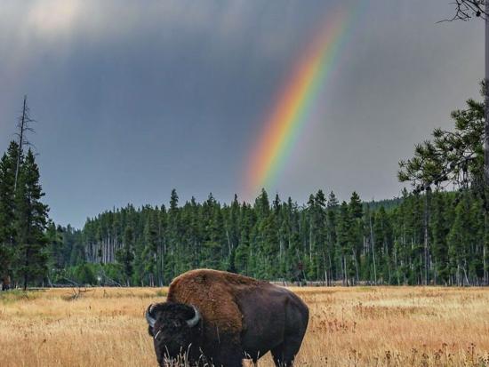 Office of Grants Management | U.S. Department of the Interior