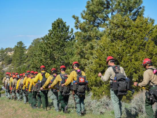 Services Provided by the Office of Wildland Fire | U.S. Department of the Interior