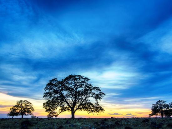 Affirmative Employment Program Division | U.S. Department of the Interior