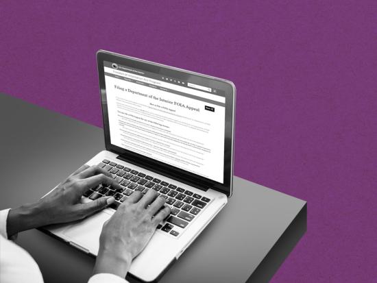 Freedom of Information Act (FOIA) Requests | U.S. Department of the ...