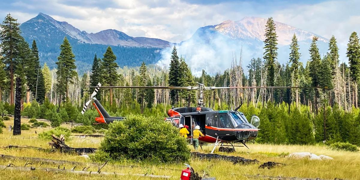 Director’s Report: Laying the Foundation for Significant New ...