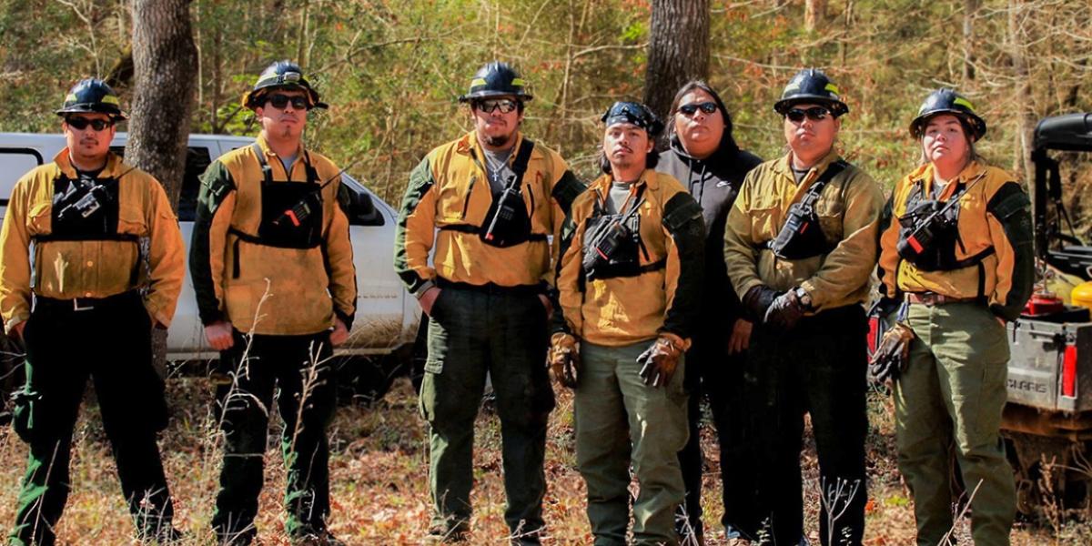 How One Tribe is Restoring the Fire-dependent Longleaf Pine | U.S ...