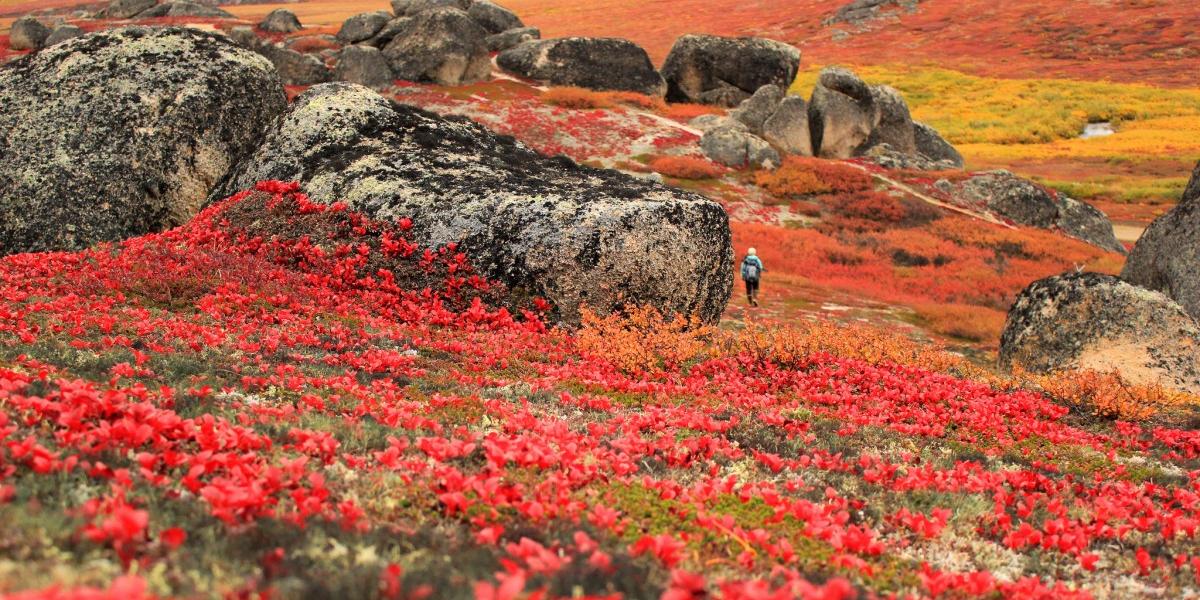 InHR Quarterly Newsletter - November 2019 | U.S. Department of the Interior
