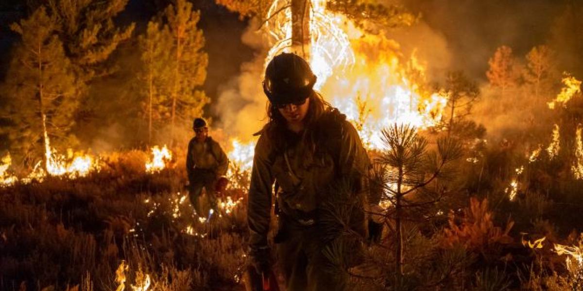 The Future of Wildland Fire Management: Investing in Our Workforce | U ...
