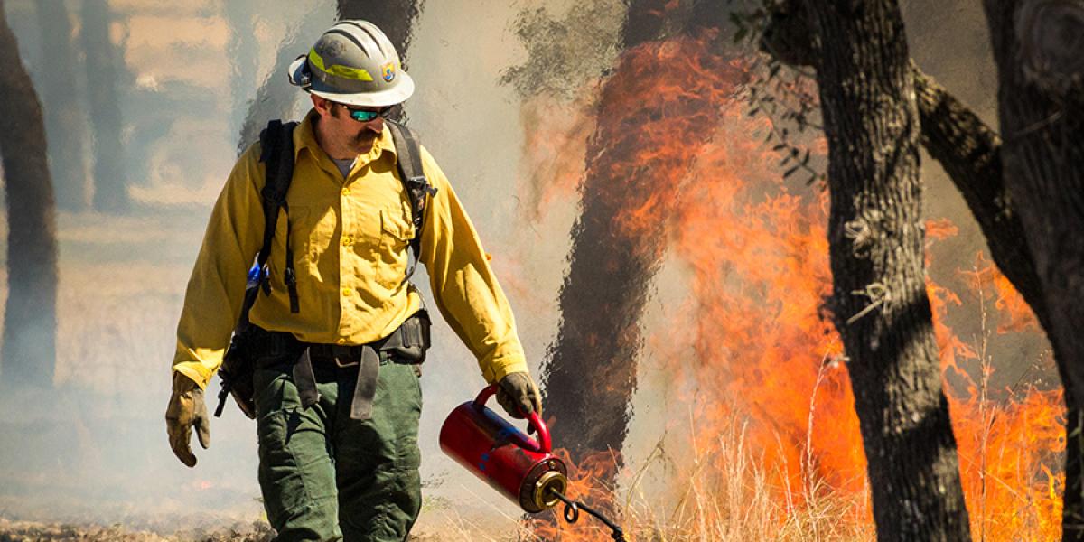 Improving Wildfire Risk Reduction through Ecosystem Mapping | U.S ...