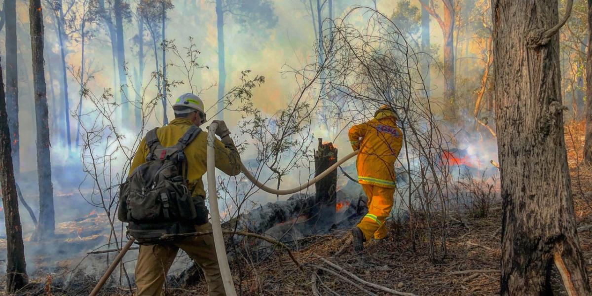 U.S. Fish and Wildlife Service firefighters reflect on assisting in ...