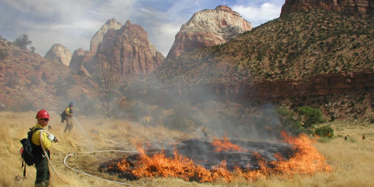 Wildland Fire Research Funding Opportunity | U.S. Department of the ...