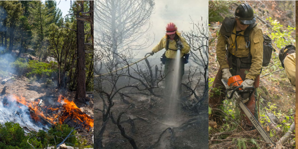 Wildland Fire Management—Past, Present, and Future | U.S. Department of ...