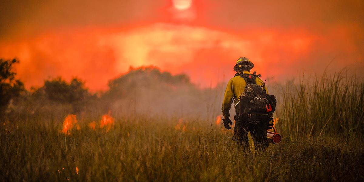 Strengthening Support for Federal Wildland Firefighter Health and ...