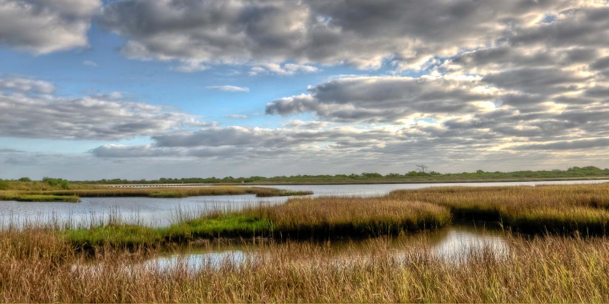 Restoring the Gulf of Mexico After the Deepwater Horizon Oil Spill | U ...