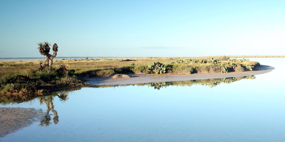 Texas Canal Widening Holds Promise for Bahia Grande Watershed | U.S ...