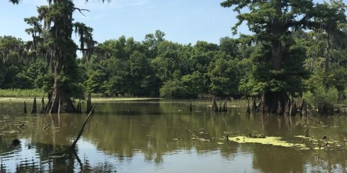 Trustees Open 30-day Public Comment Period on Draft Assessment Plan for ...