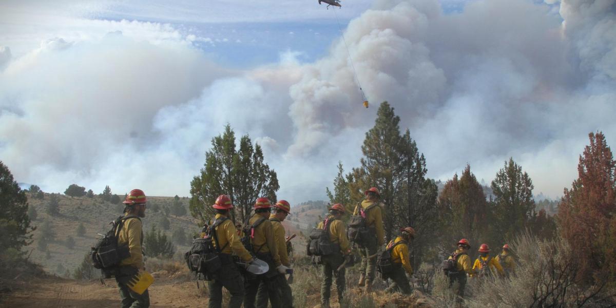 Director’s Report: Building a Wildfire-Resilient Nation | U.S ...