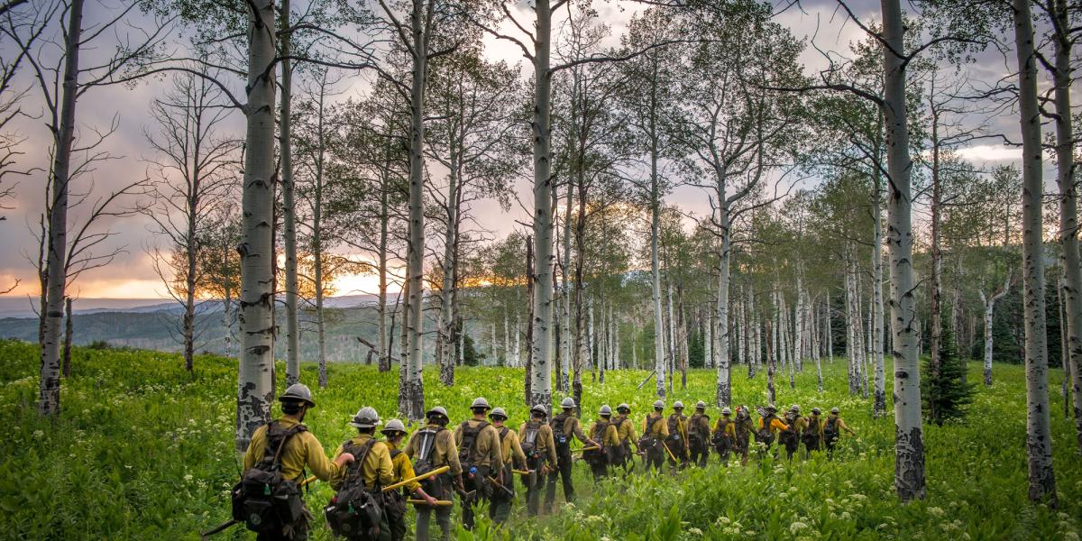 Departments of Interior and Agriculture Announce Wildland Fire Service ...