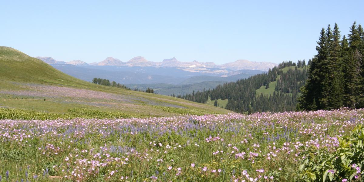 Central Utah Project Completion Act Office | U.S. Department of the ...
