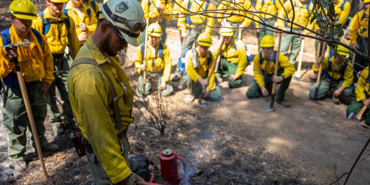 Helping Seasoned Wildland Fire Professionals Train the Next Generation ...