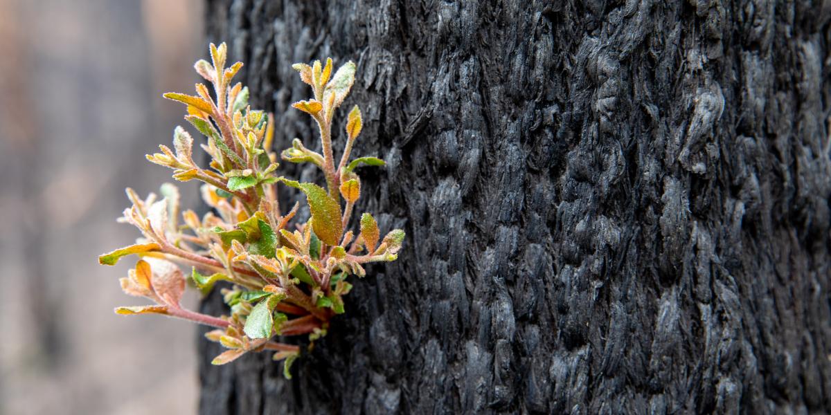 Investing in Federal Firefighters | U.S. Department of the Interior