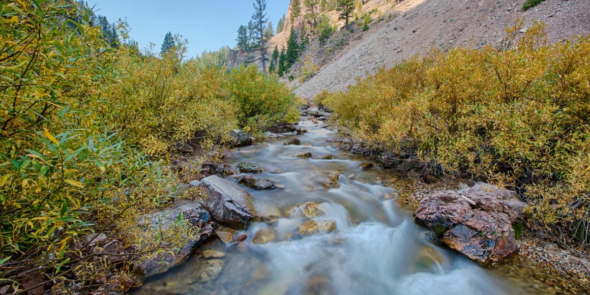 Interior Department Finalizes Stream Protection Rule to Safeguard ...