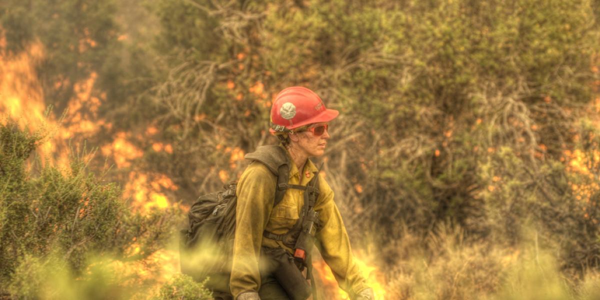 In Case You Missed It: Bernhardt: As a mild fire season comes to an end ...