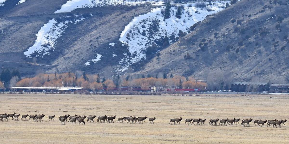 Interior Announces $24.7 Million in Support for Habitat Conservation in ...