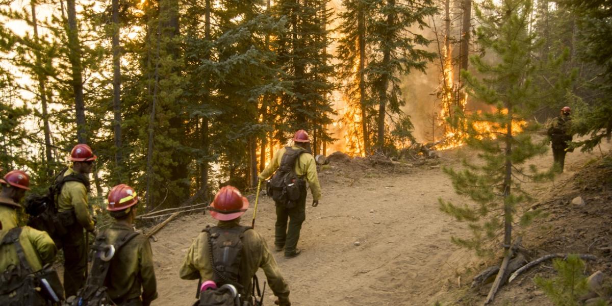 Secretary Haaland Announces Nearly $50 Million for Wildfire Mitigation ...