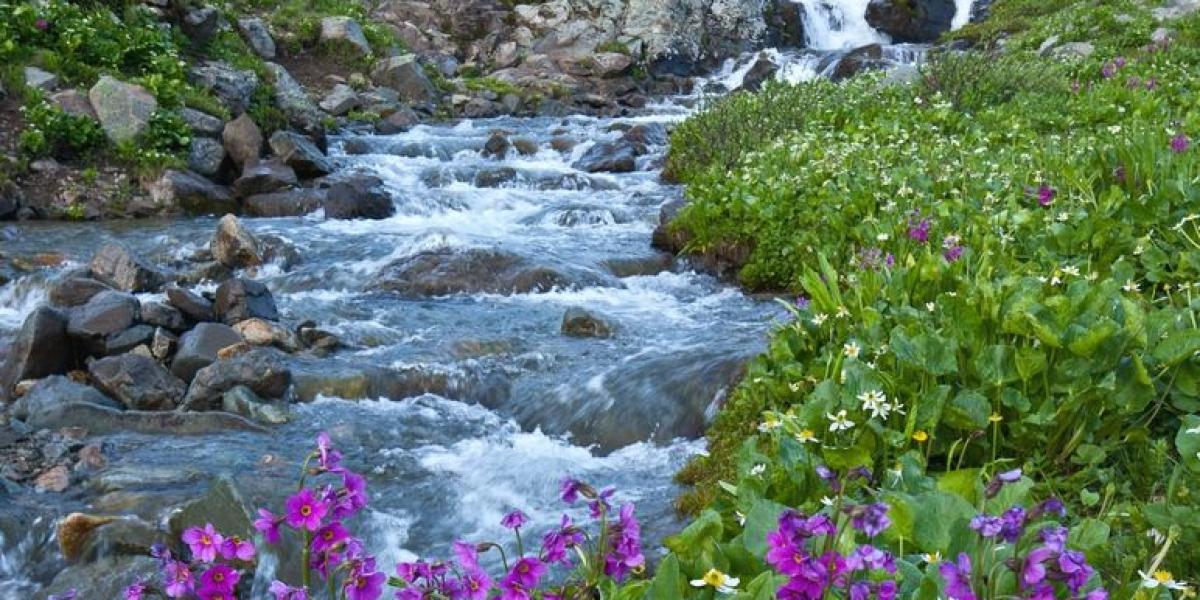 Interior Department Welcomes Newest Members of Leadership Team | U.S ...