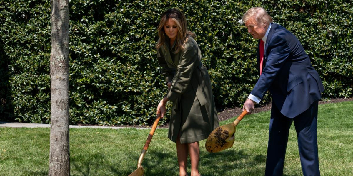 Trump Administration Furthers Commitment to One Trillion Trees ...