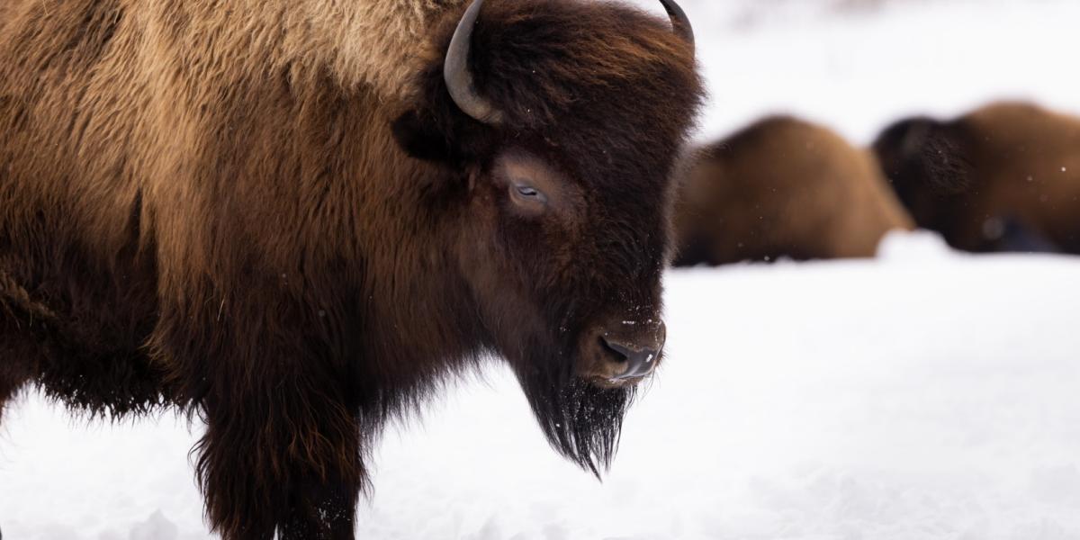 Biden-Harris Administration Announces $62.5 Million Through Investing ...