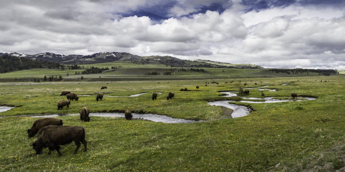 Interior and Partners Commit to Long-Term Initiative to Conserve the ...