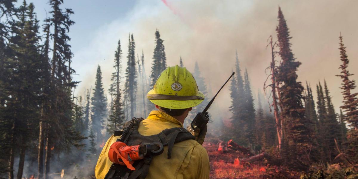 10 Tips to Prevent Wildfires | U.S. Department of the Interior