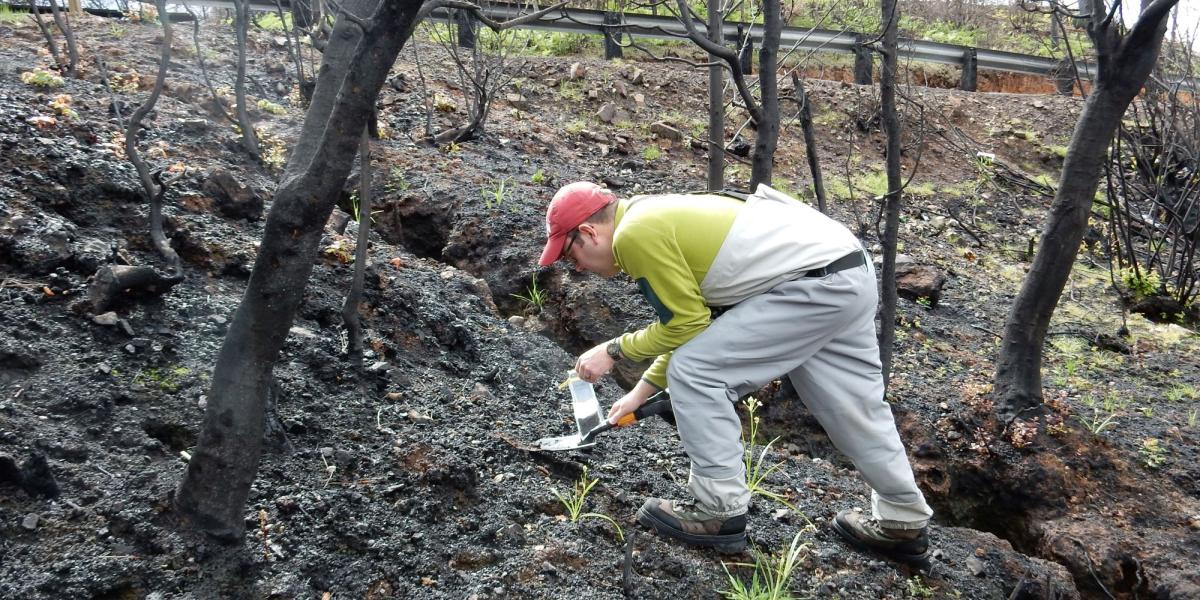 Joint Fire Science Program | U.S. Department of the Interior