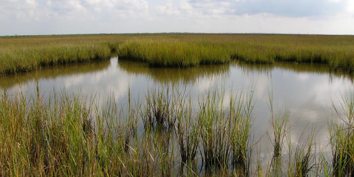 Ten Years After the Deepwater Horizon Oil Spill | U.S. Department of ...